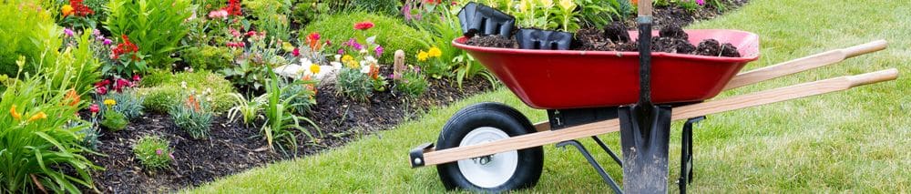 FJ Tree services Offers Tree Services in Woodstock, IL 60098